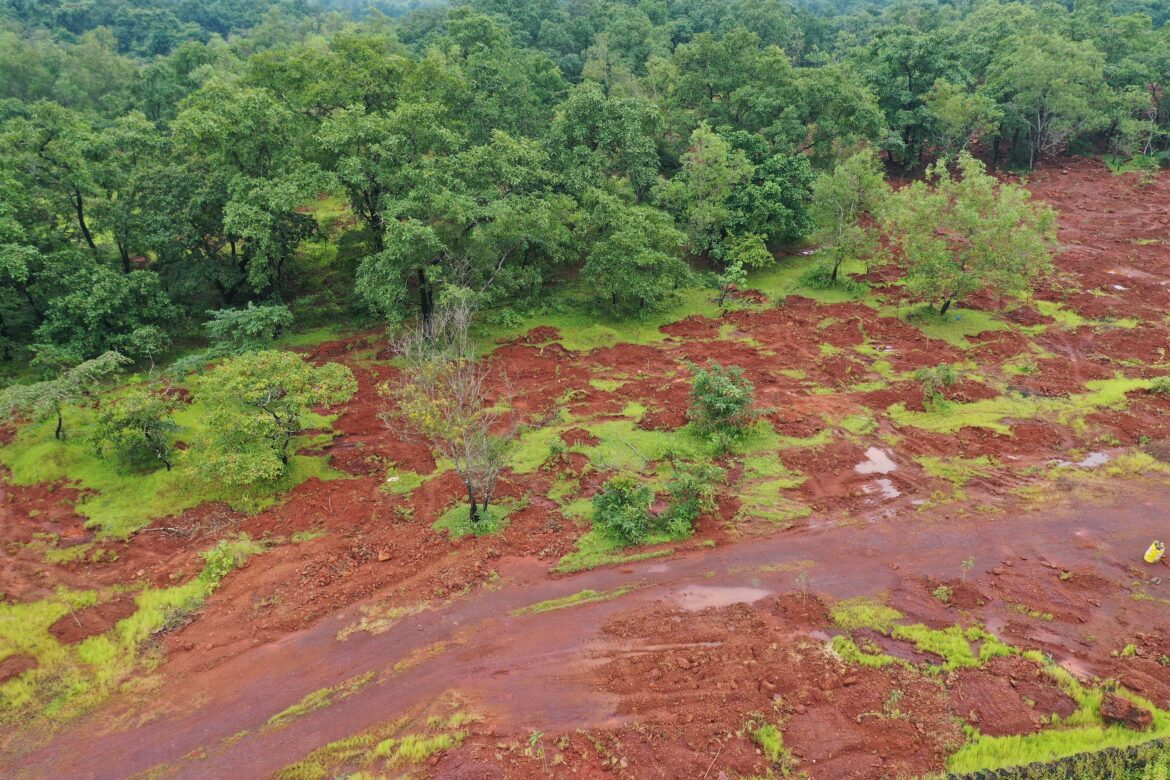 Plantation Drive at Sangod – GTTPL